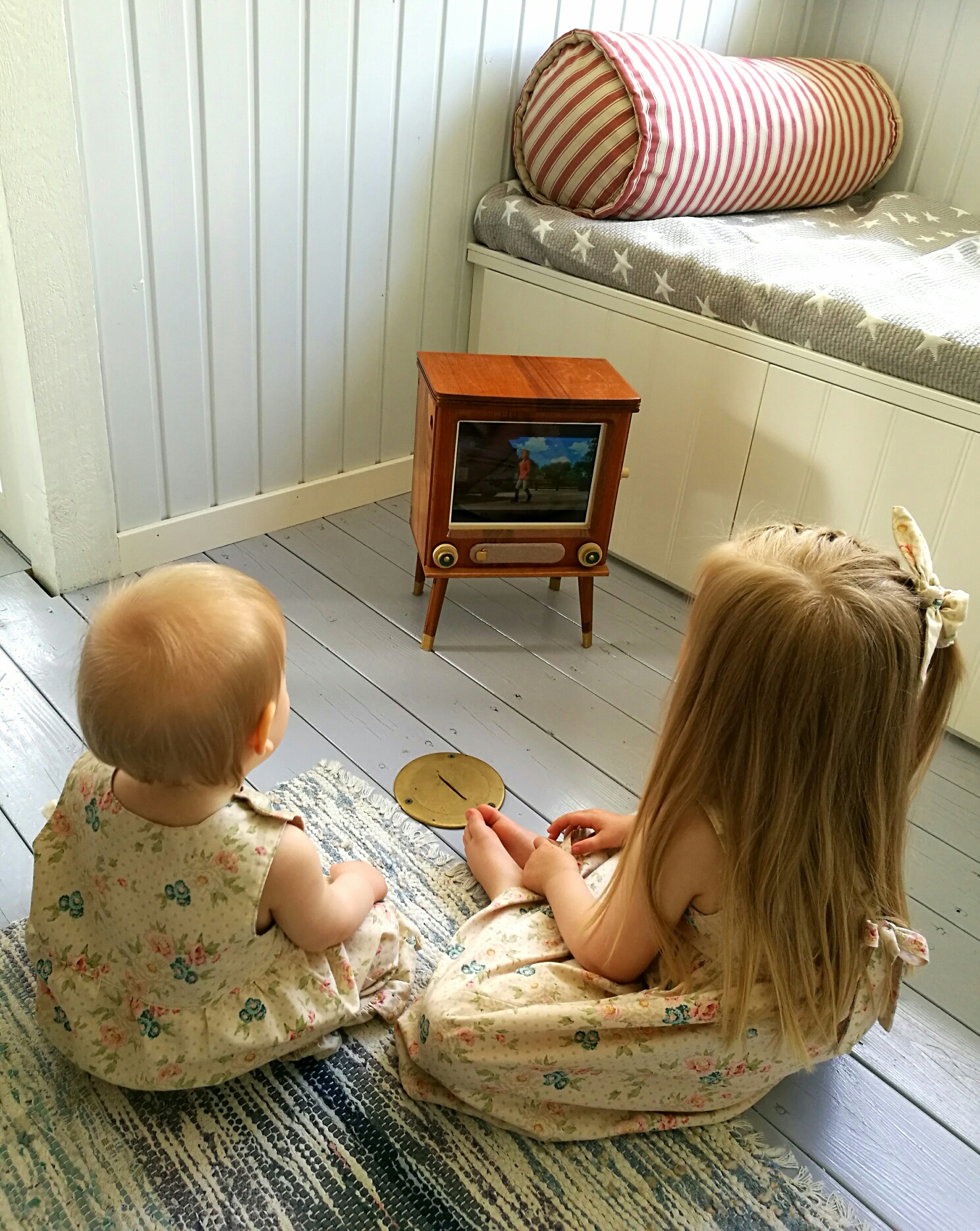 Maailman söpöin telkkari – Haipakka